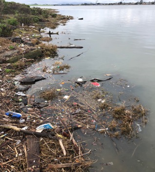 You can protect the Bay from trash | San Francisco Baykeeper