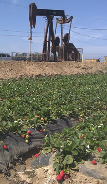 Stop Fracking California - San Francisco Baykeeper
