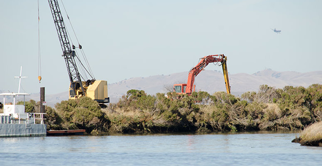 What’s Better for the Bay: Wetlands or Private Resort? - San Francisco ...