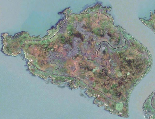 What’s Better for the Bay: Wetlands or Private Resort? - San Francisco ...