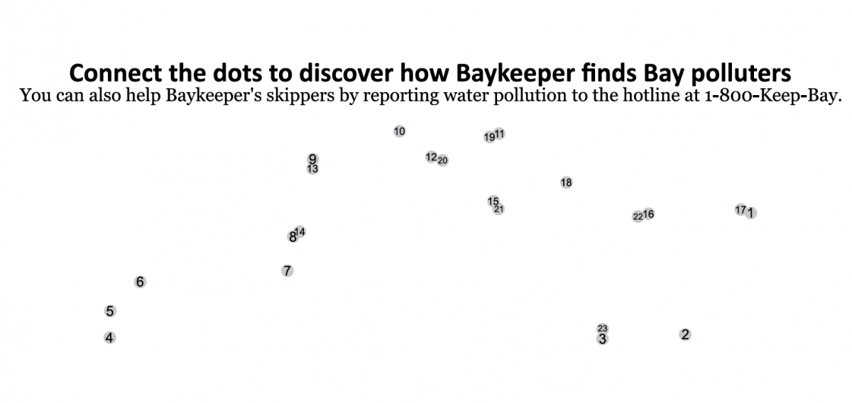 Bay-themed Activities for Kids at Home - San Francisco Baykeeper